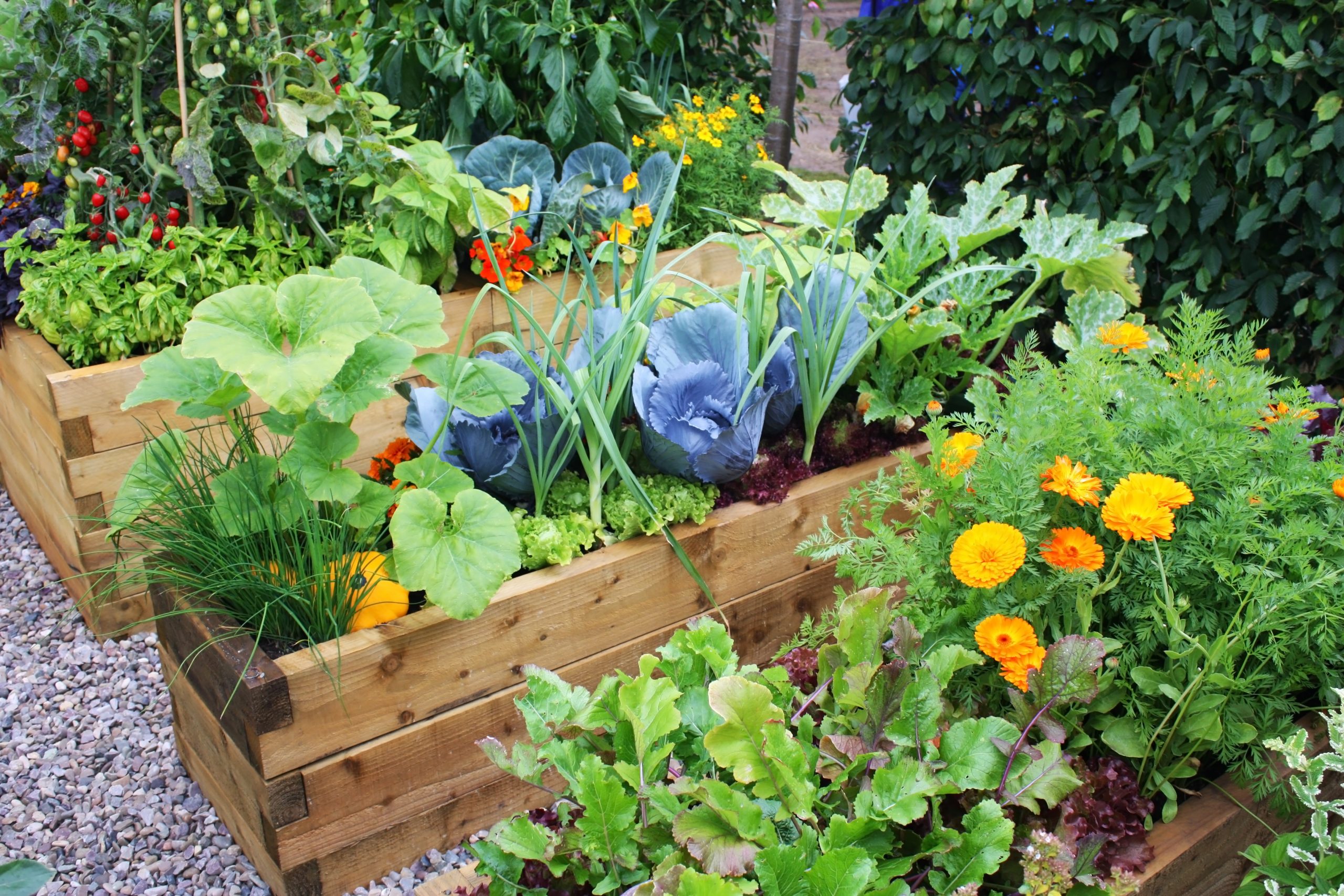 Infomaterial Zur Selbstversorgung Aus Dem Garten Vielfaltsmacher